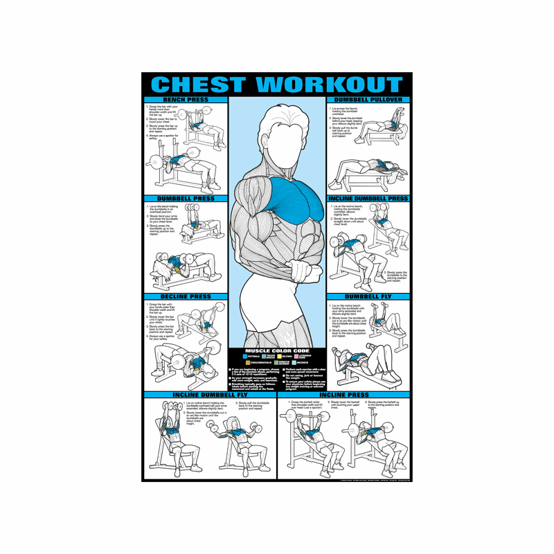Chest Workout Poster - Laminated