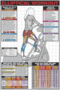 Elliptical Workout Poster - Laminated