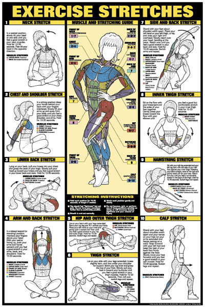 Hamstring Stretches Chart