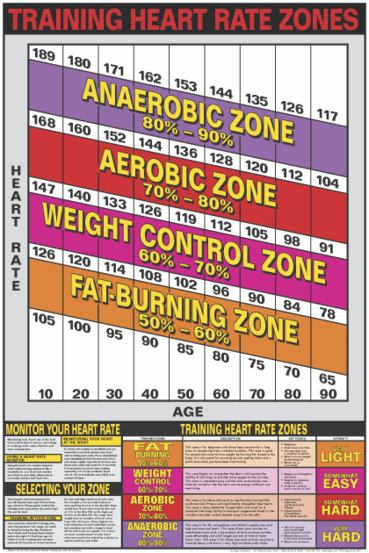 Heart Rate Training Zones Poster - Laminated
