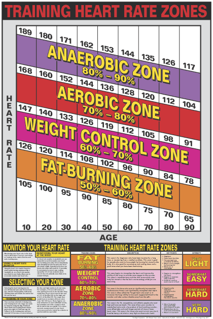 Heart Rate Training Zones Poster - Laminated