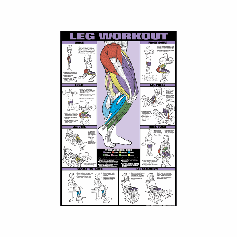 Leg Workout Chart For Women
