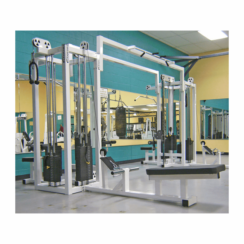 Legend Fitness Eight-Stack Jungle 959
