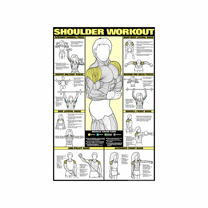 Shoulder Workout Chart