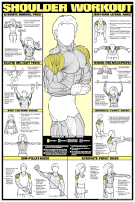 Shoulder Workout Poster - Laminated
