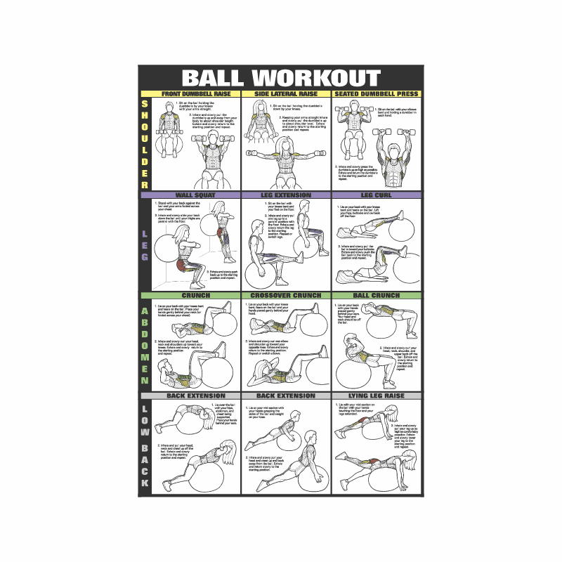 Swiss Ball Workout Poster 2 - Laminated