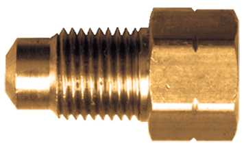 Male Bubble Flare x Female Inverted Flare
