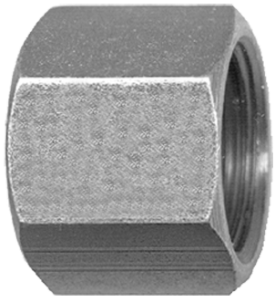 Steel Pipe Fittings: Pipe Thread Caps