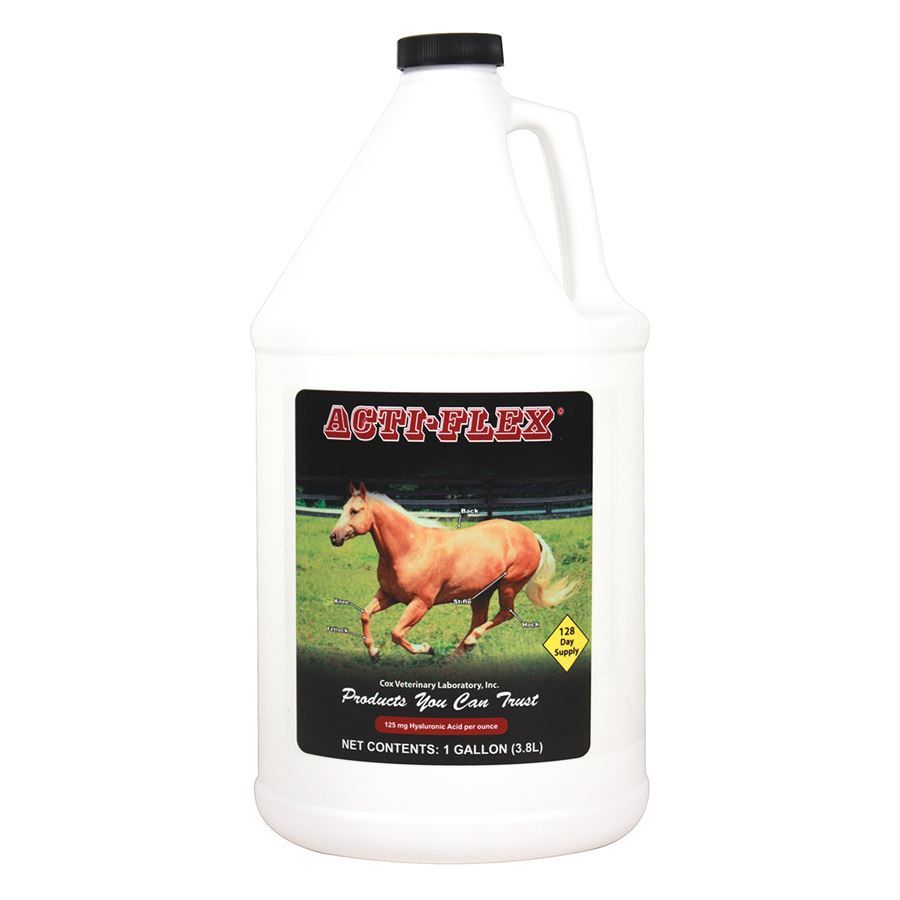 Acti Flex gallon for horses.|All Veterinary Supply