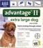 Advantage II for Extra Large Dogs, 4 Pack | All Veterinary Supply