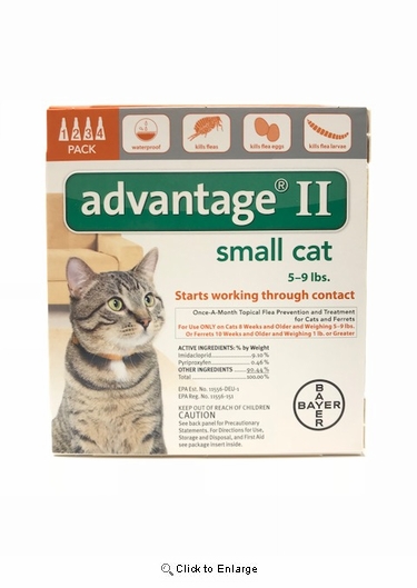 Advantage II for small cats. |All Veterinary Supply
