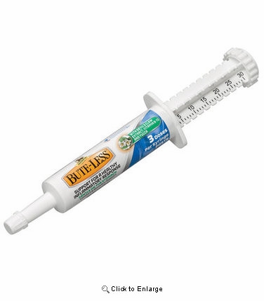Bute-Less Paste for Horses. | All Veterinary Supply