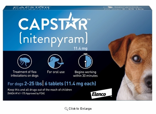 Capstar For Dogs.| All Veterinary Supply