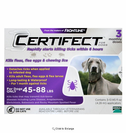Certifect for Large Dogs. | All Veterinary Supply