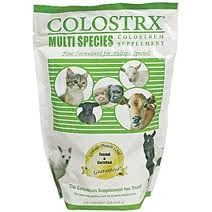Colostrx Multi Species. | All Veterinary Supply