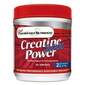 Creatine Power for horses. | All Veterinary Supply