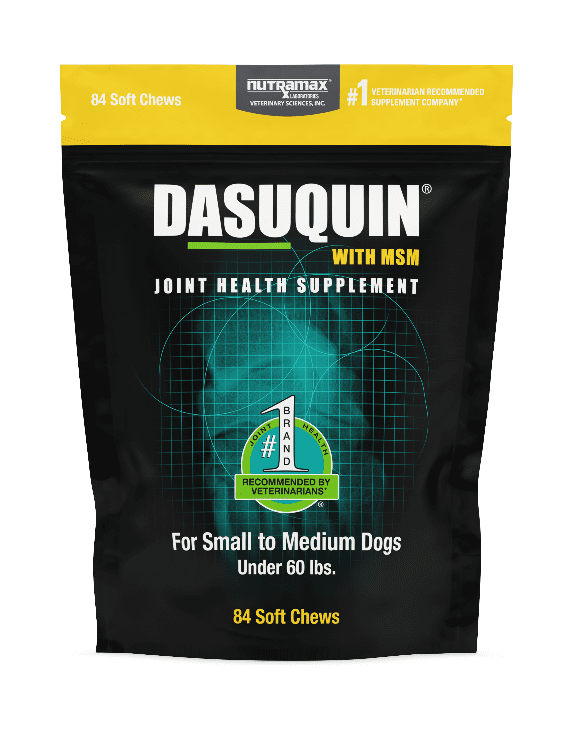 Dasuquin Chews With MSM. | All Veterinary Supply