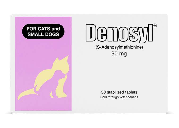 Denosyl® 90mg for dogs and cats. | All Veterinary Supply