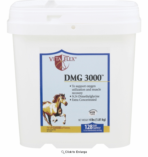 DMG 3000 for Horses. | All Veterinary Supply