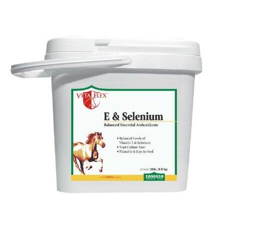 E & Selenium for Horses. | All Veterinary Supply