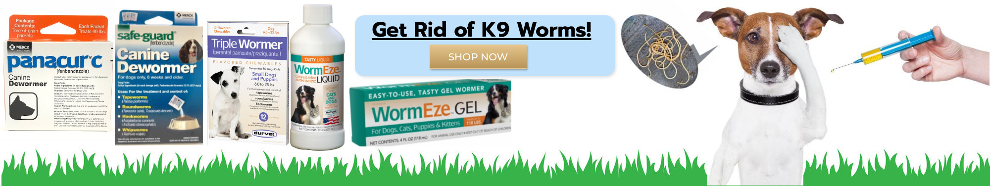 Veterinarian Supplies Store | All Veterinary Supply, Inc.