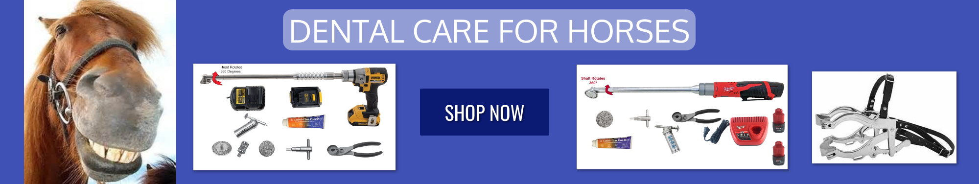 Veterinarian Supplies Store | All Veterinary Supply, Inc.