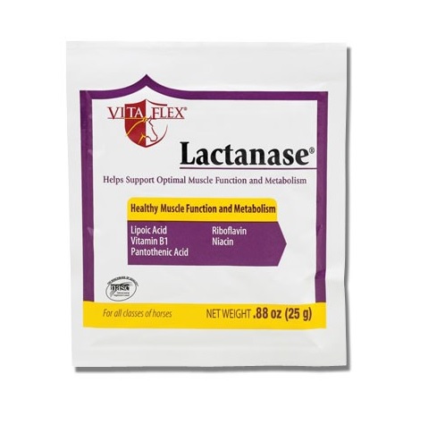 Lactanase Packet for Horses. | All Veterinary Supply