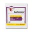 Lactanase Packet for Horses. | All Veterinary Supply