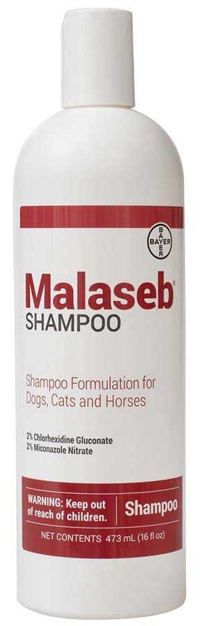 Malaseb Shampoo 16oz. | All Veterinary Supply