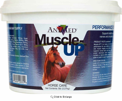Muscle Up Powder for Horses, 5lb. | All Veterinary Supply