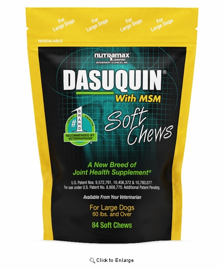 Dasuquin Soft Chews w/MSM for dogs. | All Veterinary Supply