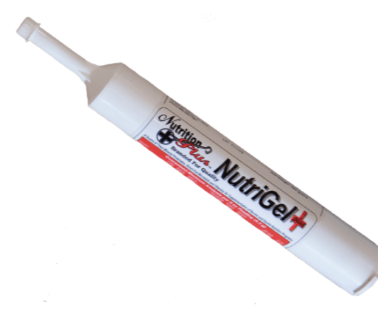 Nutrigel Plus 320cc. | All Veterinary Supply, Inc
