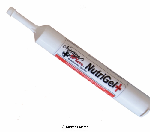 Nutrigel Plus 320cc. | All Veterinary Supply, Inc