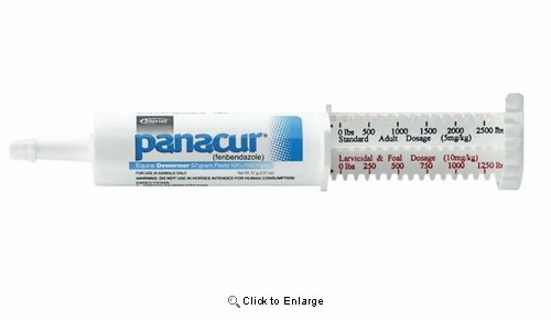 Panacur PowerPac 57gm Single Syringe for Horses. | All Veterinary Supply