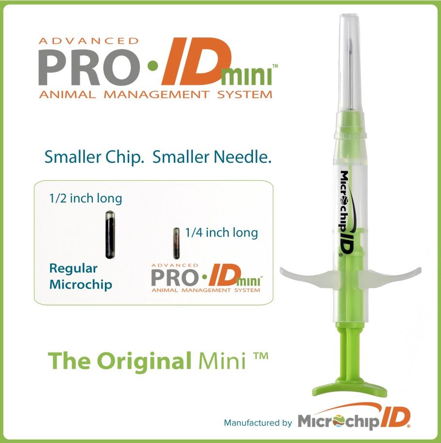Pro ID Mini Chip 25pk.