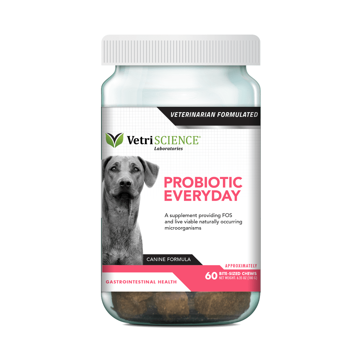 Can Dogs Have Probiotics Every Day