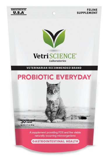 Probiotic Everyday for Cats. | All Veterinary Supply