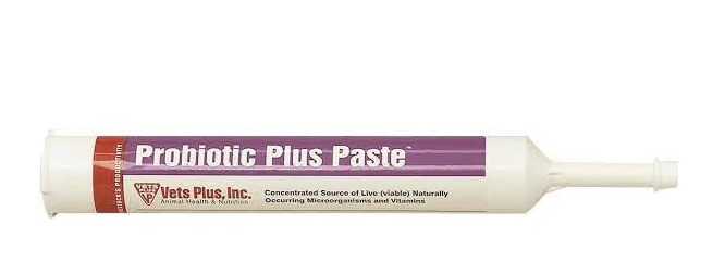 Probiotic Plus Paste 300ml. | All Veterinary Supply