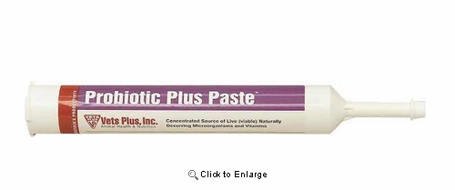 Probiotic Plus Paste 300ml. | All Veterinary Supply