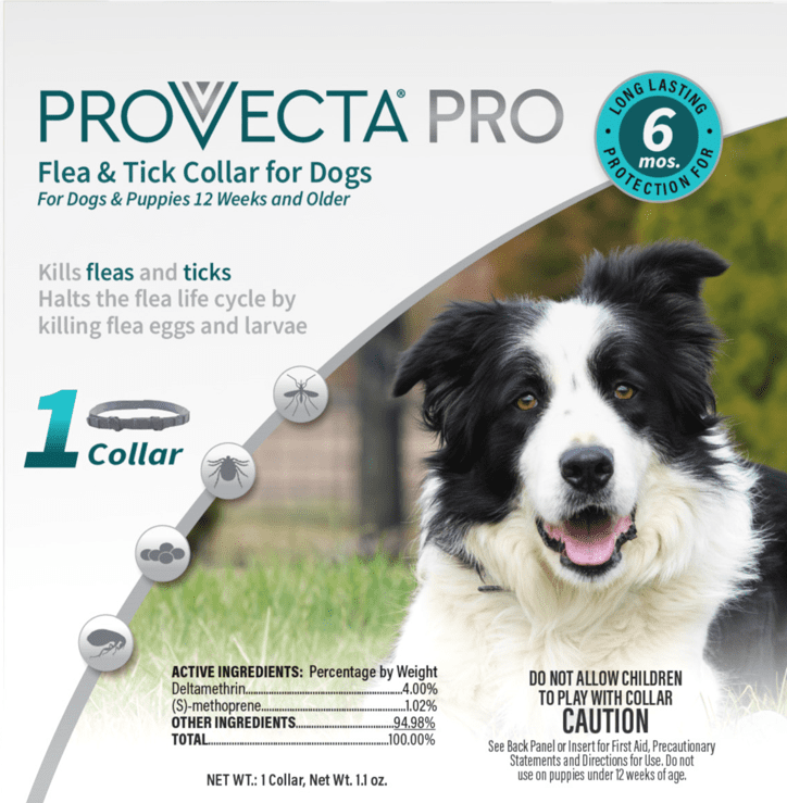 Provecta Pro Collar for Dogs. | All Veterinary Supply, Inc.