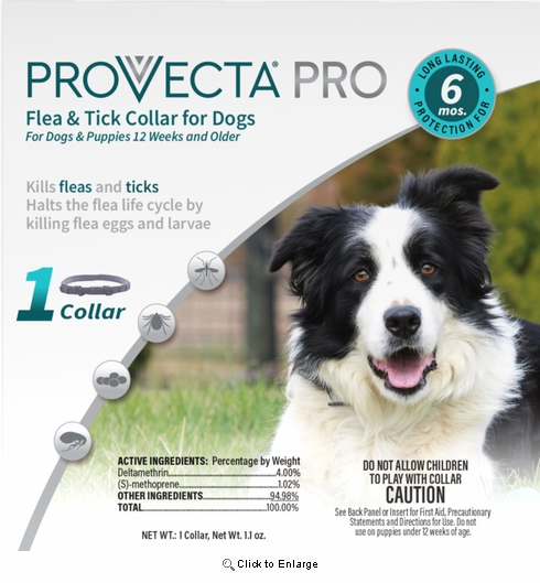 Provecta Pro Collar for Dogs. | All Veterinary Supply, Inc.