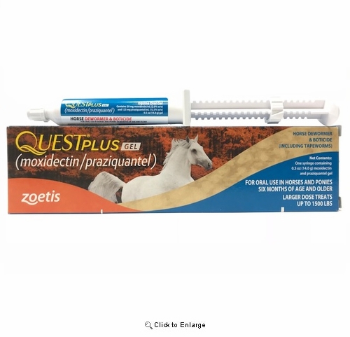Quest Plus Gel for Horses. | All Veterinary Supply