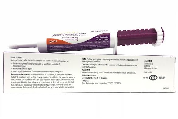 Strongid Paste for Horses. | All Veterinary Supply