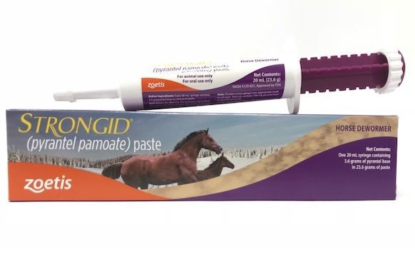 Strongid Paste for Horses. | All Veterinary Supply