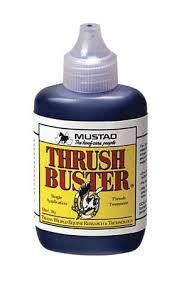 Thrush Buster for Horses. | All Veterinary Supply