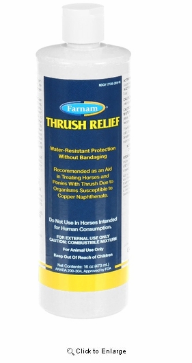 Thrush Relief Liquid for Horses. | All Veterinary Supply