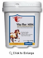 Vita-Flex MSM. | All Veterinary Supply