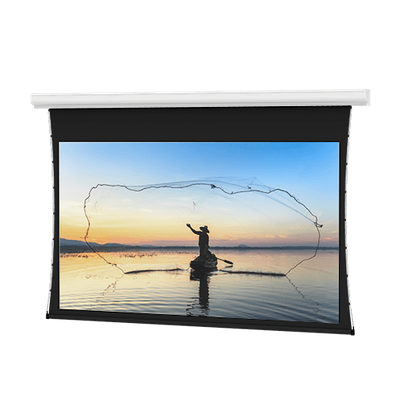 Da-Lite Tensioned Designer Contour Electric Projection Screen (Battery ...
