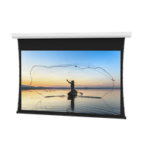 Battery Powered Electric Screen - (Rechargeable)