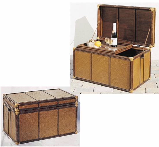 Safari Storage Trunk (UPS $30)
